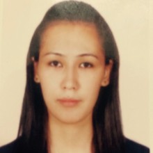 ICS- Institute of Chinese Studies