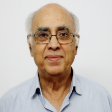 ICS- Institute of Chinese Studies : Emeritus Fellows